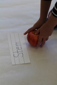 Creative Tots Preschool - Blog